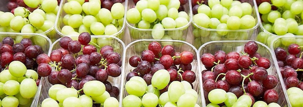 PARALLEL UK Import & Export Spalding United Kingdom | Libertyprim