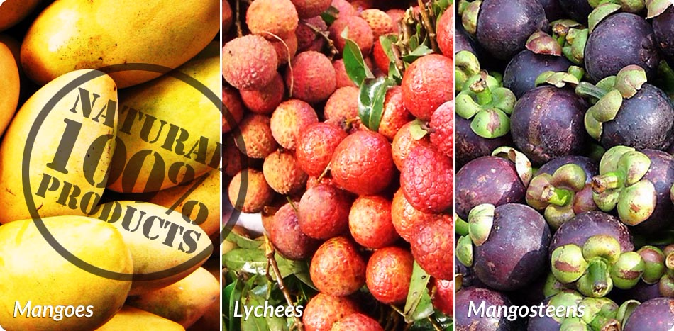 NGOMSON FRUIT COMPANY Producer Brazzaville Congo | Libertyprim