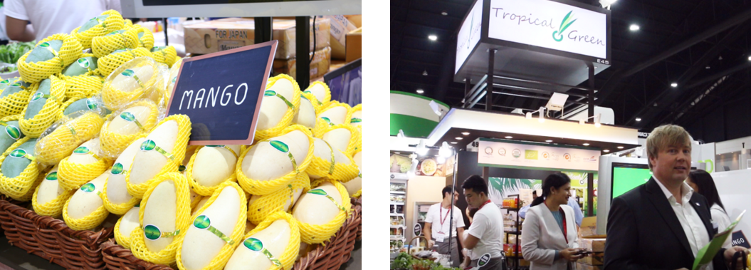 TROPICAL GREEN Import & Export Bangkok Thailand | Libertyprim