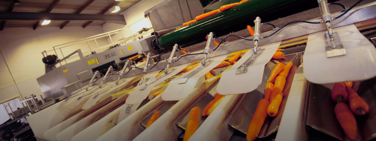 HAMMOND PRODUCE Producer Nottingham United Kingdom | Libertyprim
