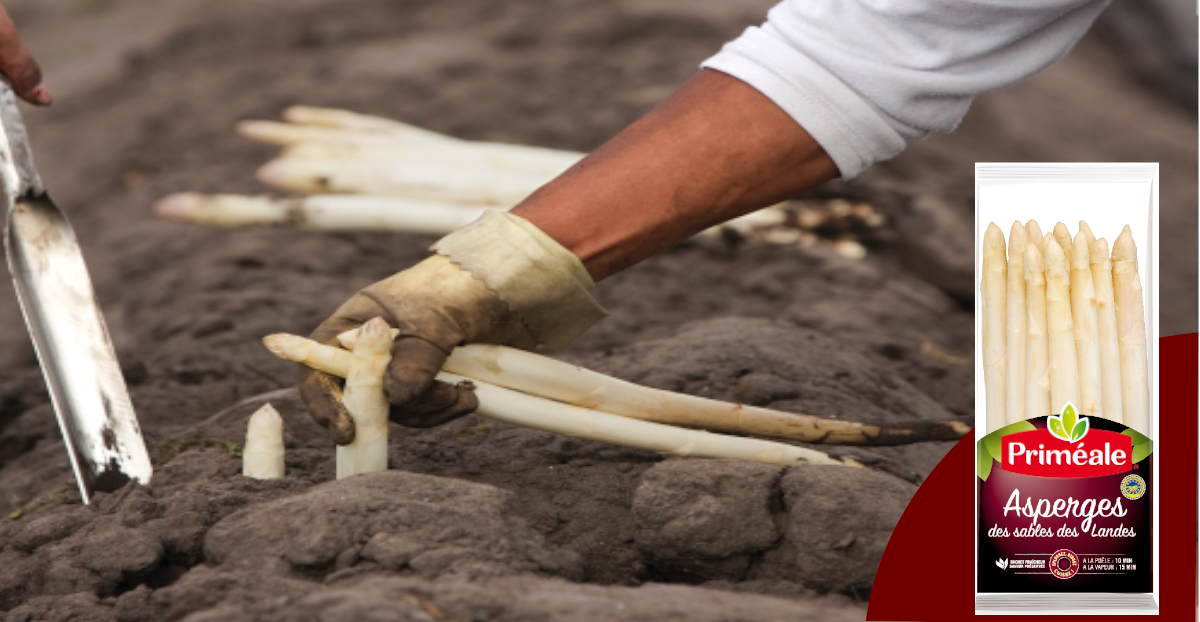 PRIMEALE Expéditeur & Distributeur Lessay France | Libertyprim