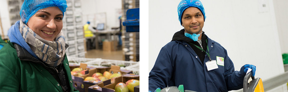 WEALMOOR Importación & Exportación Greenford Reino Unido | Libertyprim