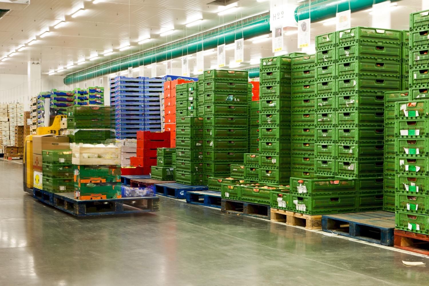 Fruit and vegetable export shippers: The essential link in the ...