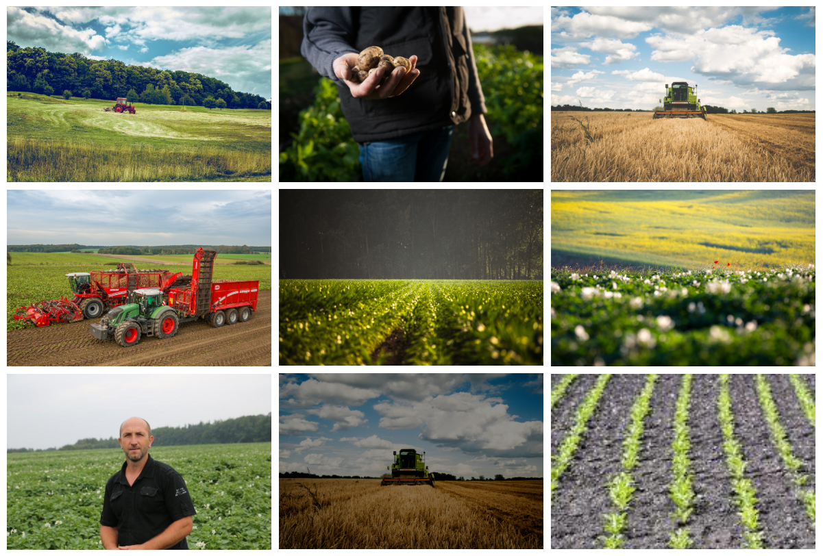 MK AGRO PRODUCTION Producteur Słupsk Pologne | Libertyprim