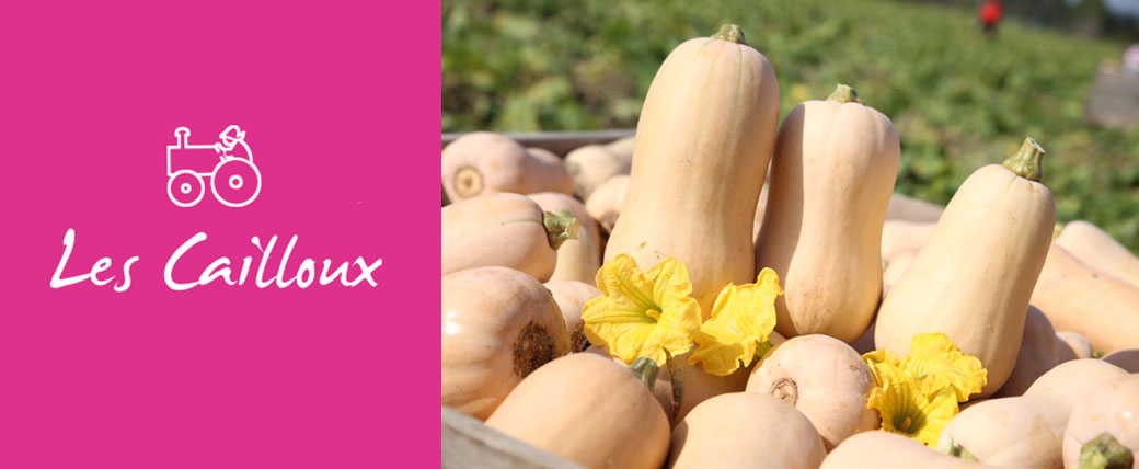 Libertyprim' la plataforma para profesionales del sector hortofrutícola ...