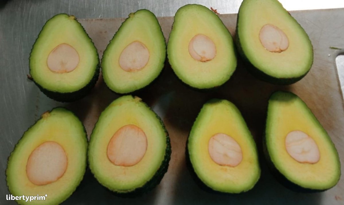 Avocado Hass Extra Morocco Shipper & Distributor - APAFRUIT | Libertyprim