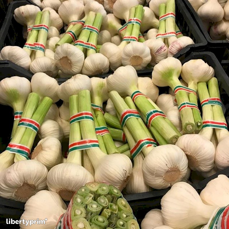 Ail Nouveau Frais Italie Grossiste - PRIMIZIEXPRESS | Libertyprim