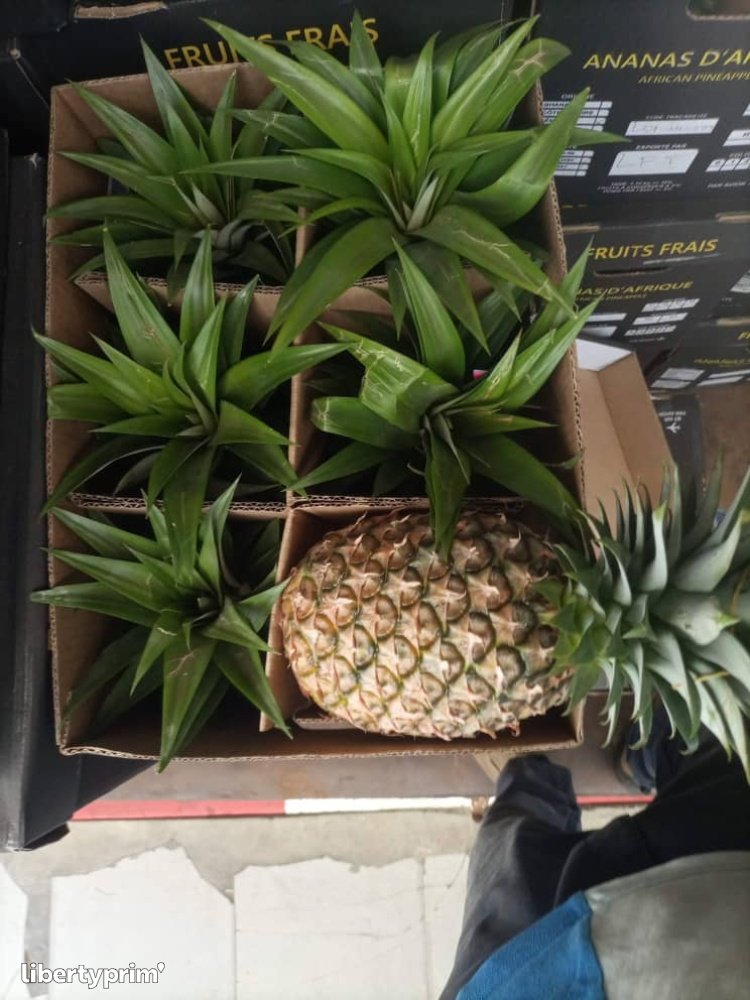 Piña Cayena Categoría 1 Benin Importación & Exportación - Kodra-Export ...