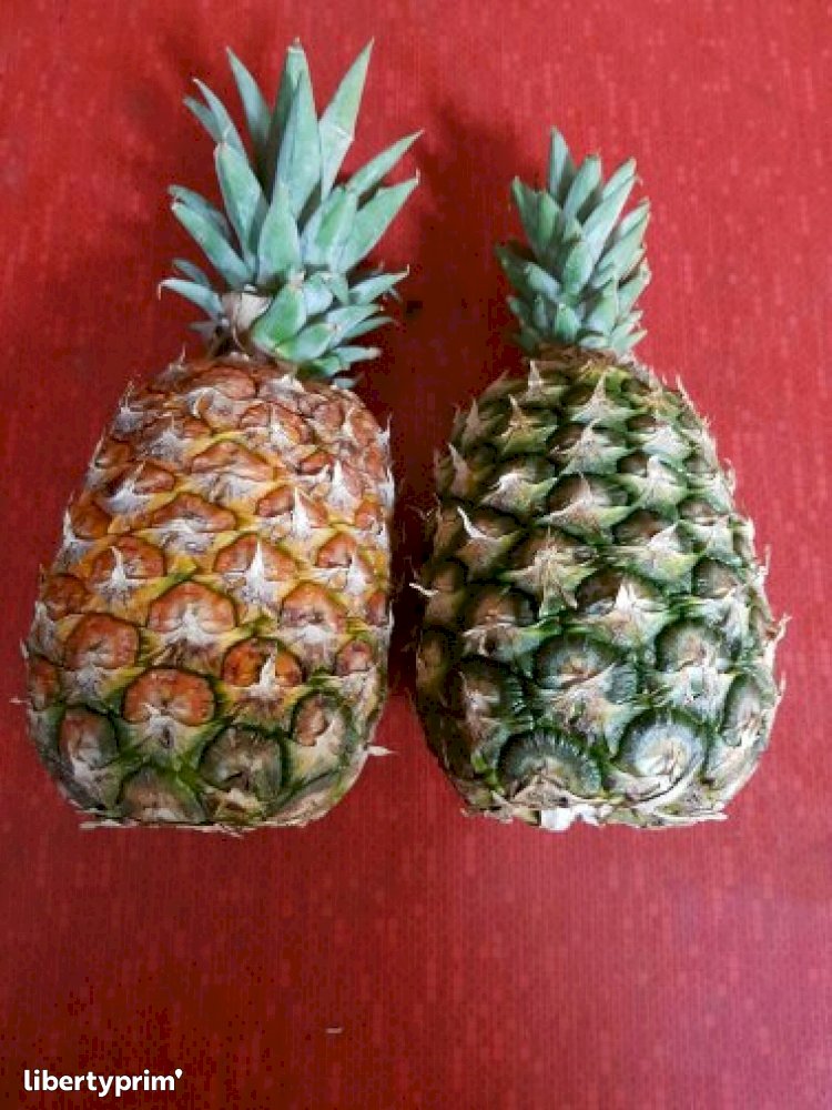 Ananas Sweet Extra Côte D'Ivoire Import & Export - B-LABEL | Libertyprim