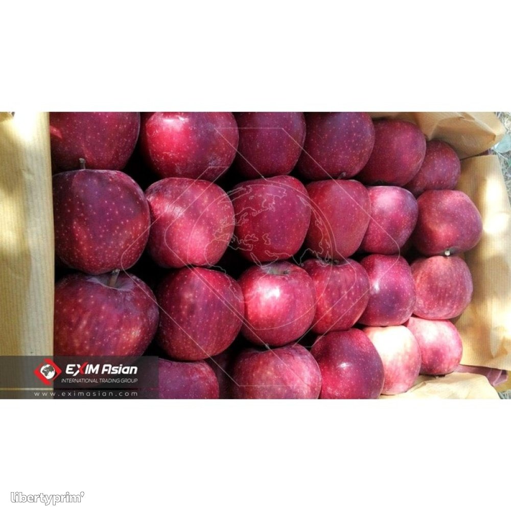 Apple Class 1 Iran Import & Export - EXIM Asian International Trading ...