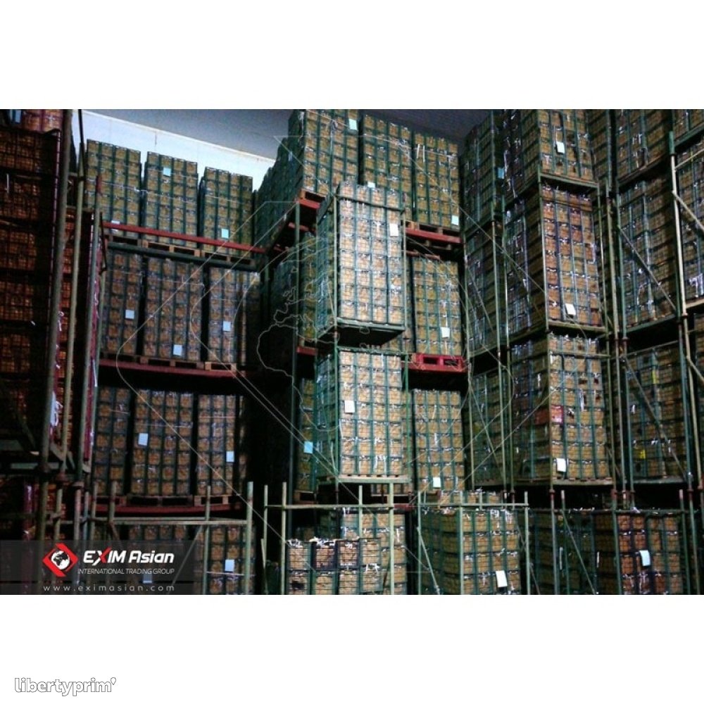 Apple Class 1 Iran Import & Export - EXIM Asian International Trading ...