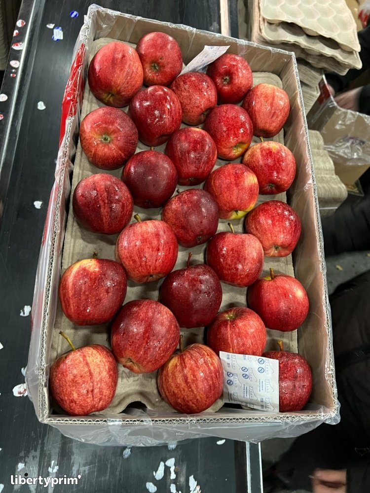 Apple Gala Class 1 Poland Wholesaler - BLACK BEE SP. Z O.O. | Libertyprim