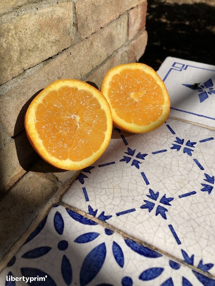 Orange Slices Class 1 Italy Producer - Az Agricola di Rosario ...