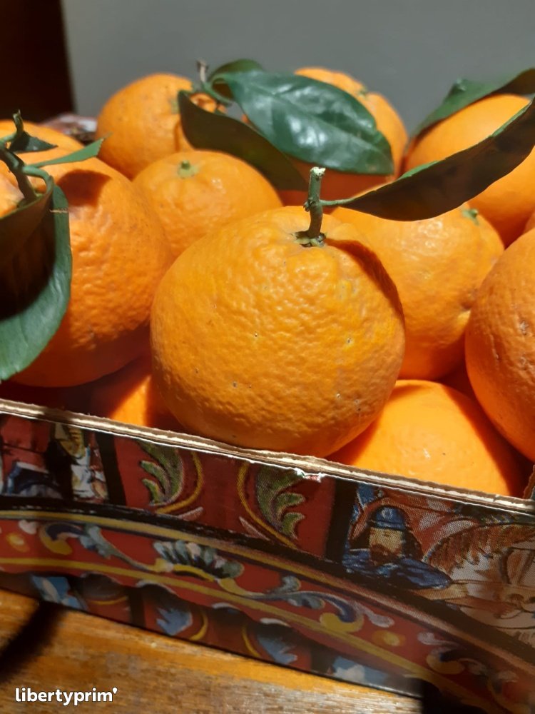 Orange Slices Class 1 Italy Producer - Az Agricola di Rosario ...