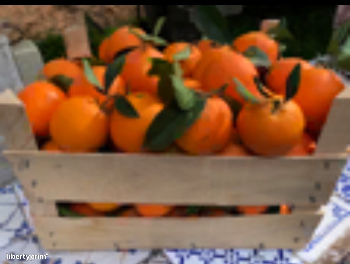 Orange Slices Class 1 Italy Producer - Az Agricola di Rosario ...