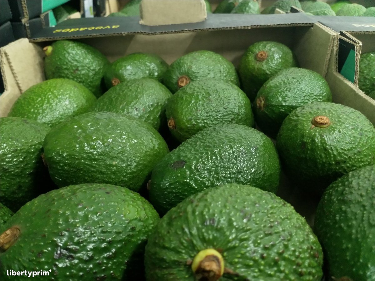 Avocado Hass Class 1 Kenya Producer - Roypack Enterprises Limited ...