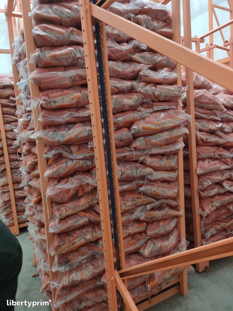 Carrot Class 1 Egypt Import & Export - Alhabouny Group | Libertyprim