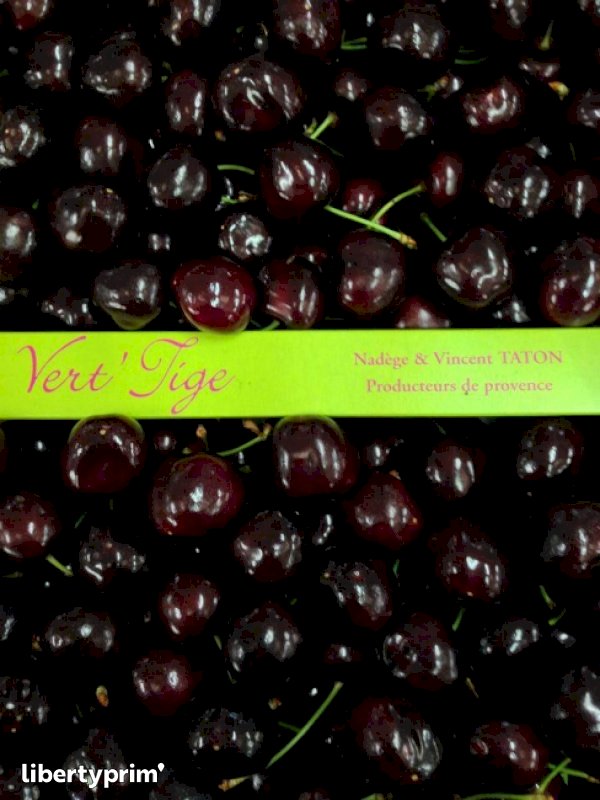 Cerise France Producteur - VERT'TIGE | Libertyprim