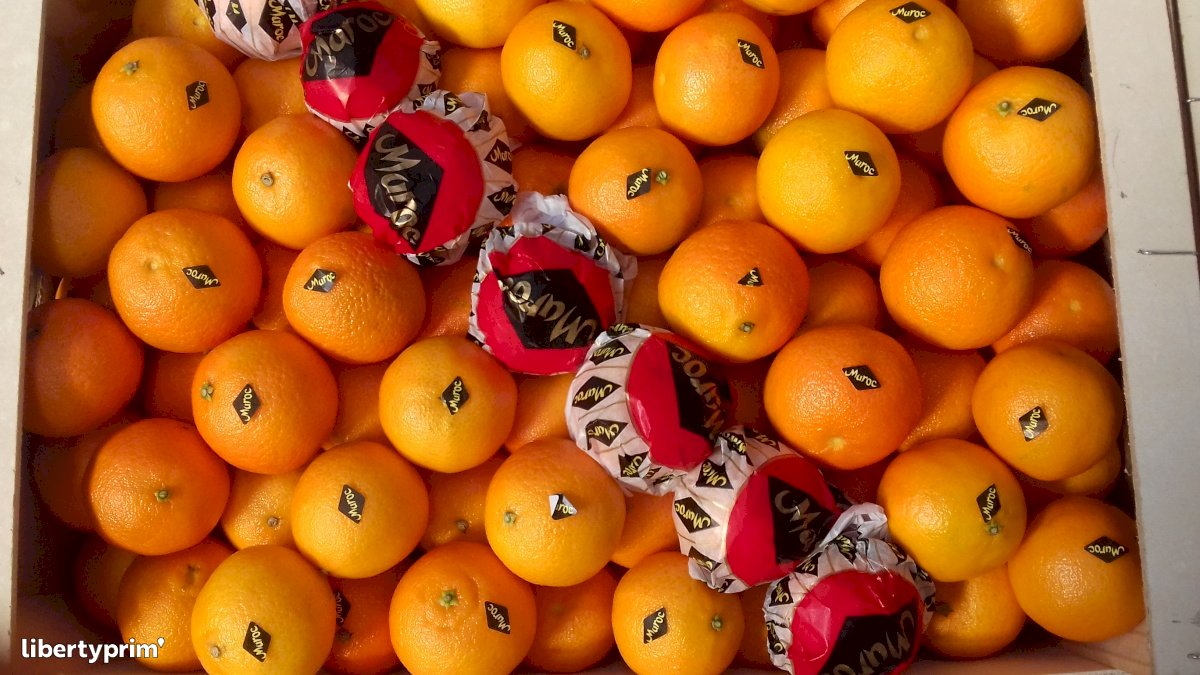 Clémentine Catégorie 1 Maroc Import & Export - FRESHWAY | Libertyprim