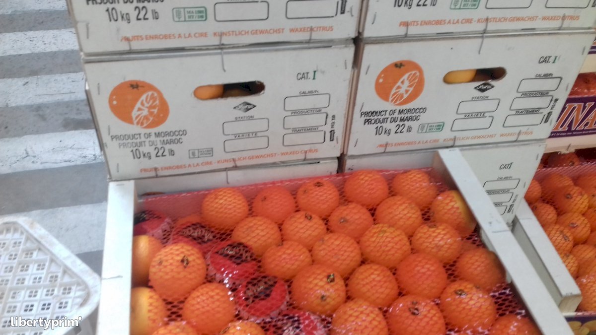 Clémentine Catégorie 1 Maroc Import & Export - FRESHWAY | Libertyprim