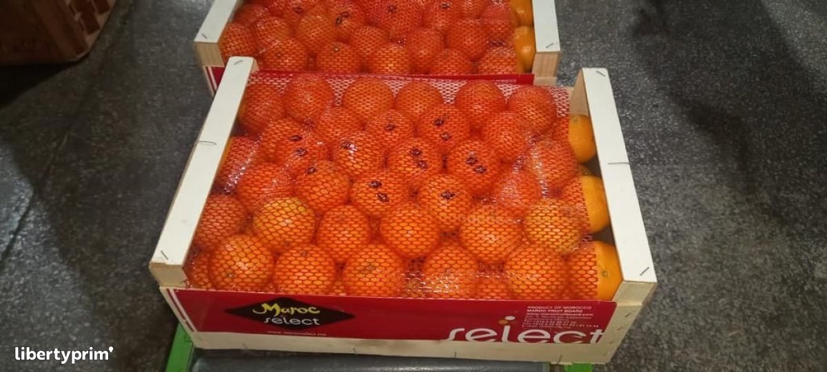 Clémentine Catégorie 1 Maroc Import & Export - CME Solutions | Libertyprim