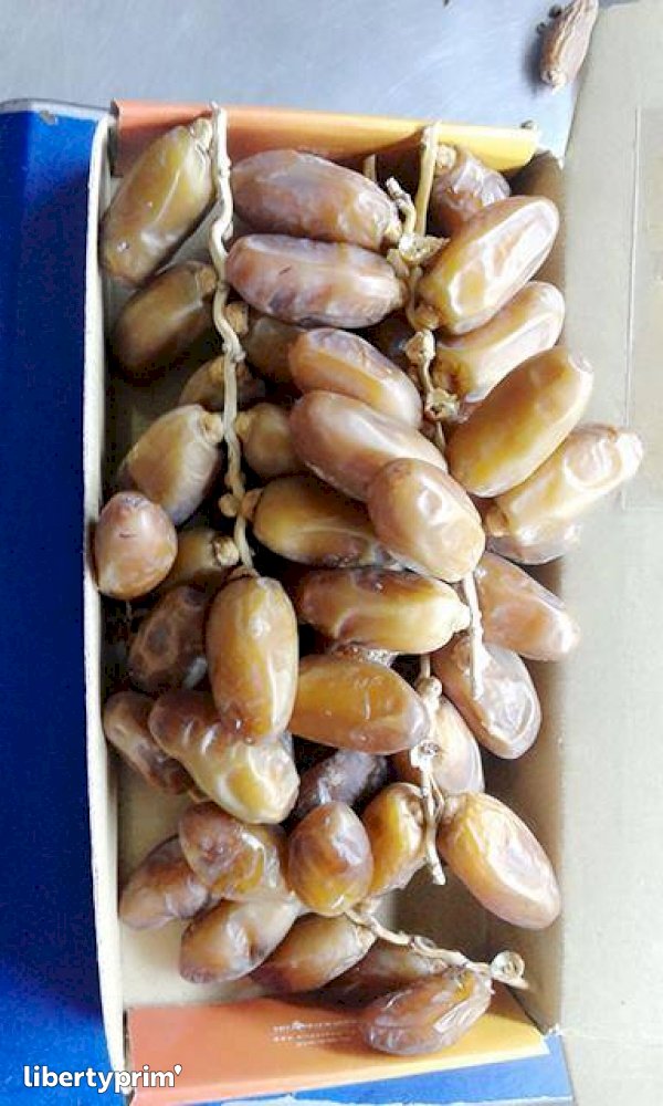 Datte Fraiche Extra Tunisie Import & Export - S and I international ...