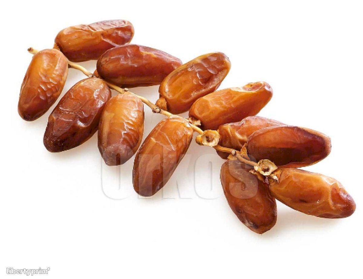 Datte Fraiche Catégorie 1 Tunisie Producteur Bio - AZIZ | Libertyprim