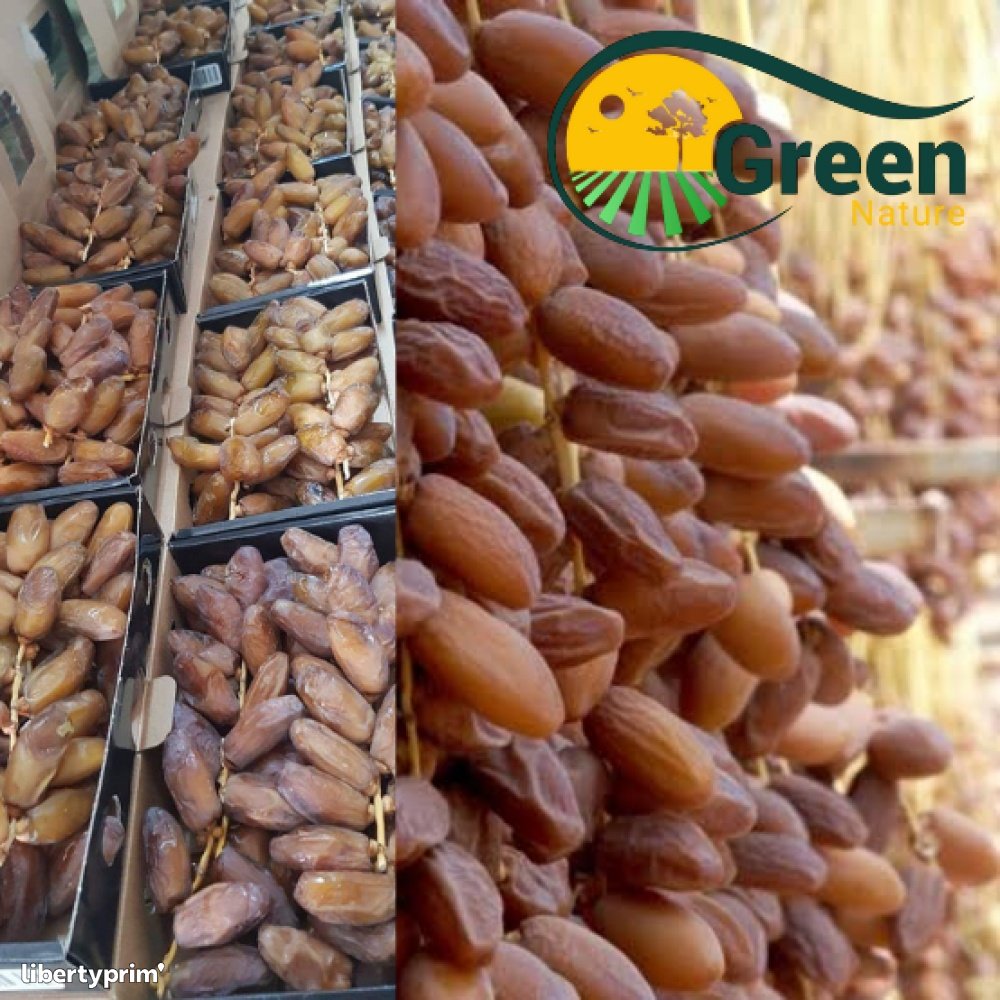 Fresh Date Extra Algeria Import & Export - GREEN INTERNATIONAL BUSINESS | Libertyprim