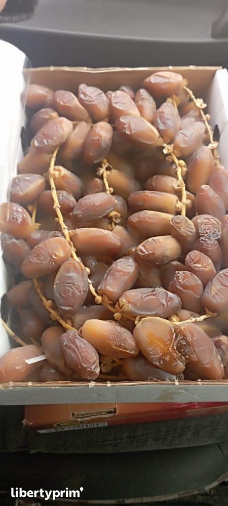 Datte Fraiche Extra Tunisie Producteur - Mercure Trade Internationale ...