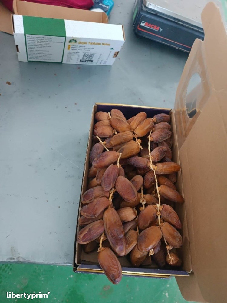 Datte Fraiche Extra Tunisie Producteur - Mercure Trade Internationale ...