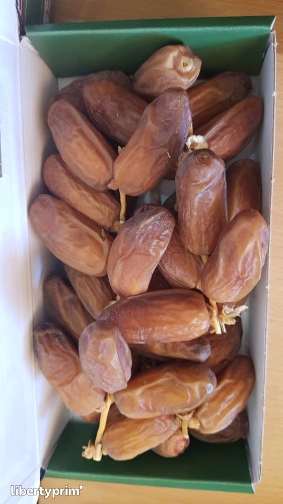 Date Class 1 Algeria Producer - Eurl Greenland Global | Libertyprim