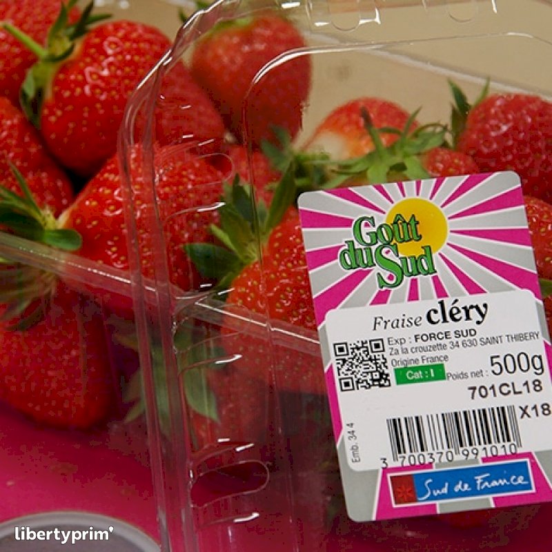 Fraise Cléry Catégorie 1 France Producteur - FORCE SUD | Libertyprim