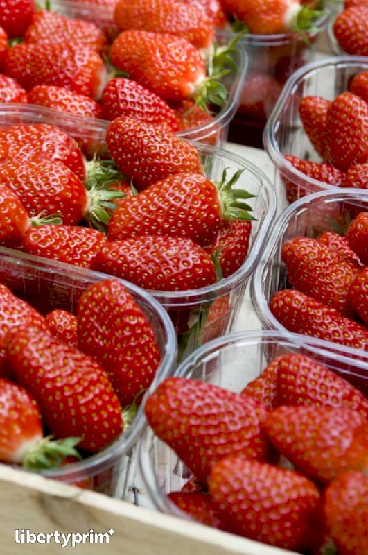 Fraise France Producteur - FRUITS ROUGES DU PERIGORD | Libertyprim