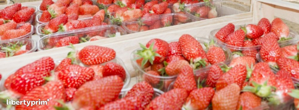 Fraise France Producteur - FRUITS ROUGES DU PERIGORD | Libertyprim