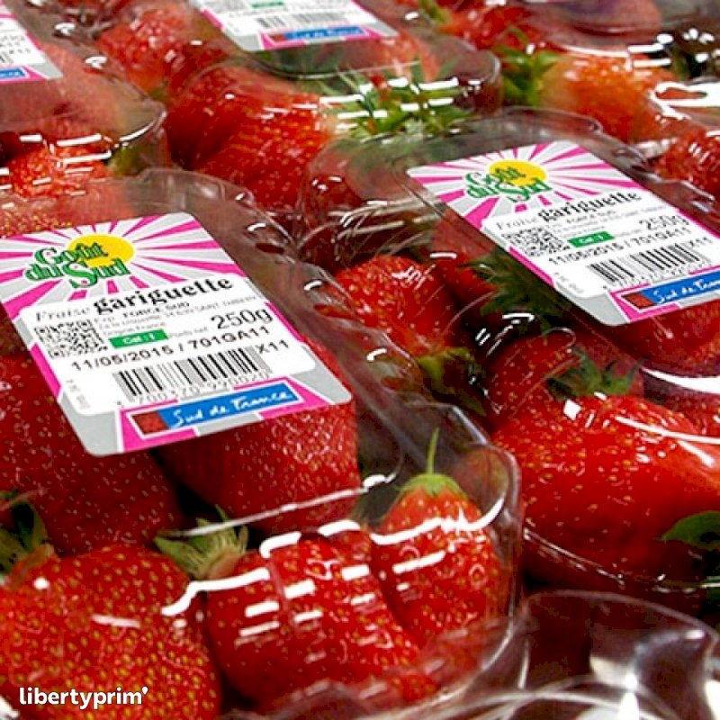 Fraise Gariguette Catégorie 1 France Producteur - FORCE SUD | Libertyprim
