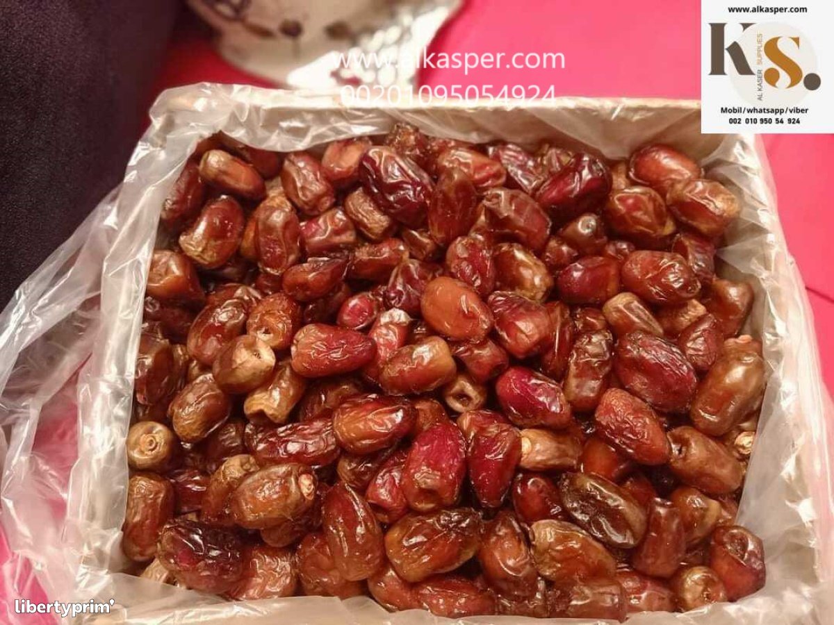 Fresh Date Class 1 Egypt Import & Export - alkasper for supplies ...