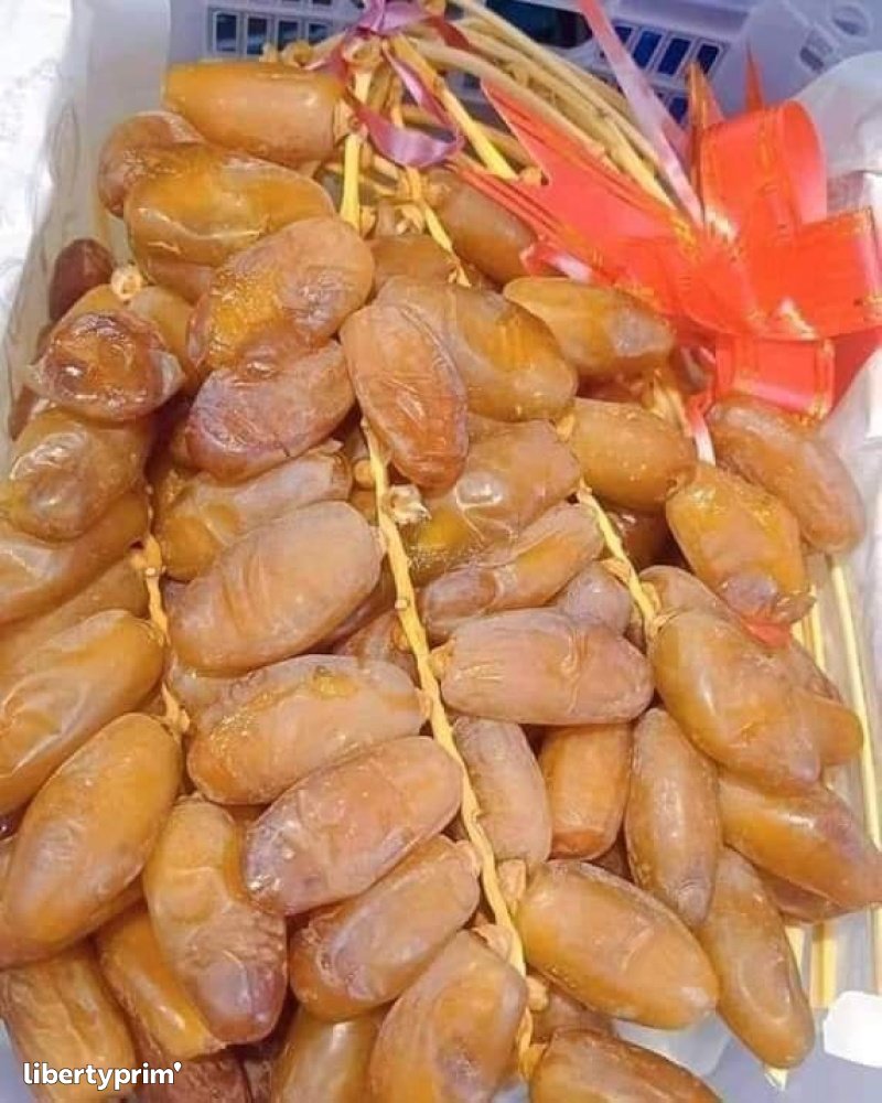 Datte Fraiche Catégorie 1 Algérie Producteur - Eurl Greenland Global ...