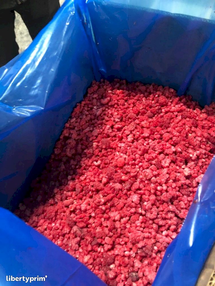 Frozen Raspberry Morocco Shipper & Distributor - PARADISE FRUTAS ...