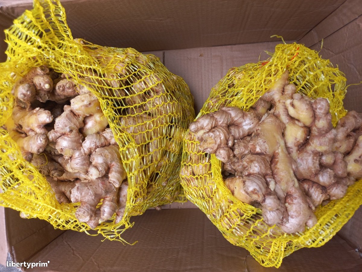 Ginger Fresh Class 1 Ivory Coast Import & Export - Kodra-Export ...
