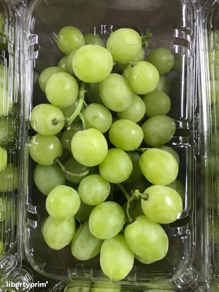 Grapes Class 1 South Africa Import & Export - Executive World Trade ...
