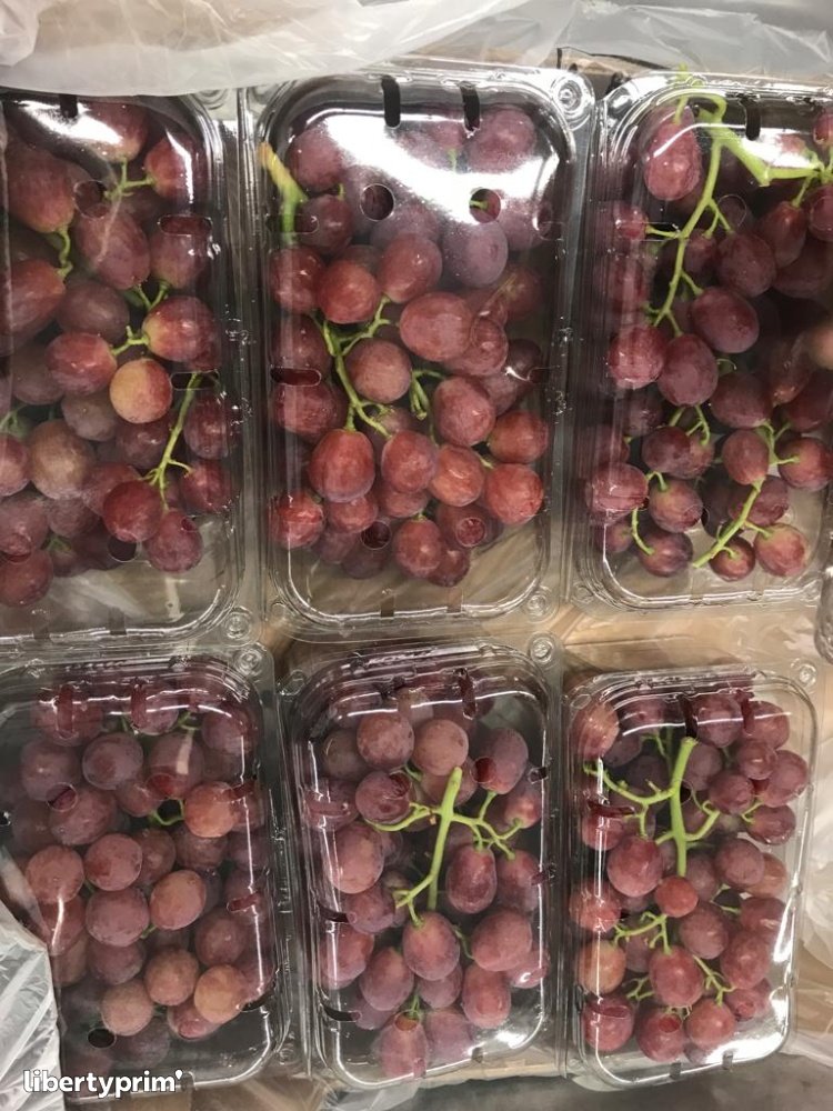 Grapes Class 1 South Africa Import & Export - Executive World Trade ...