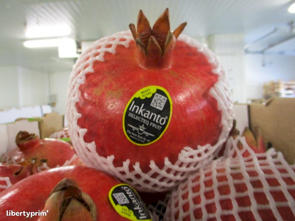 Pomegranate Import & Export - AMS EUROPEAN | Libertyprim