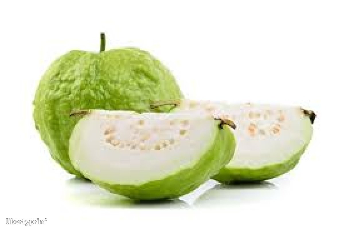 Guava South Africa Industry - GLOBAL TRADING COMPANY | Libertyprim