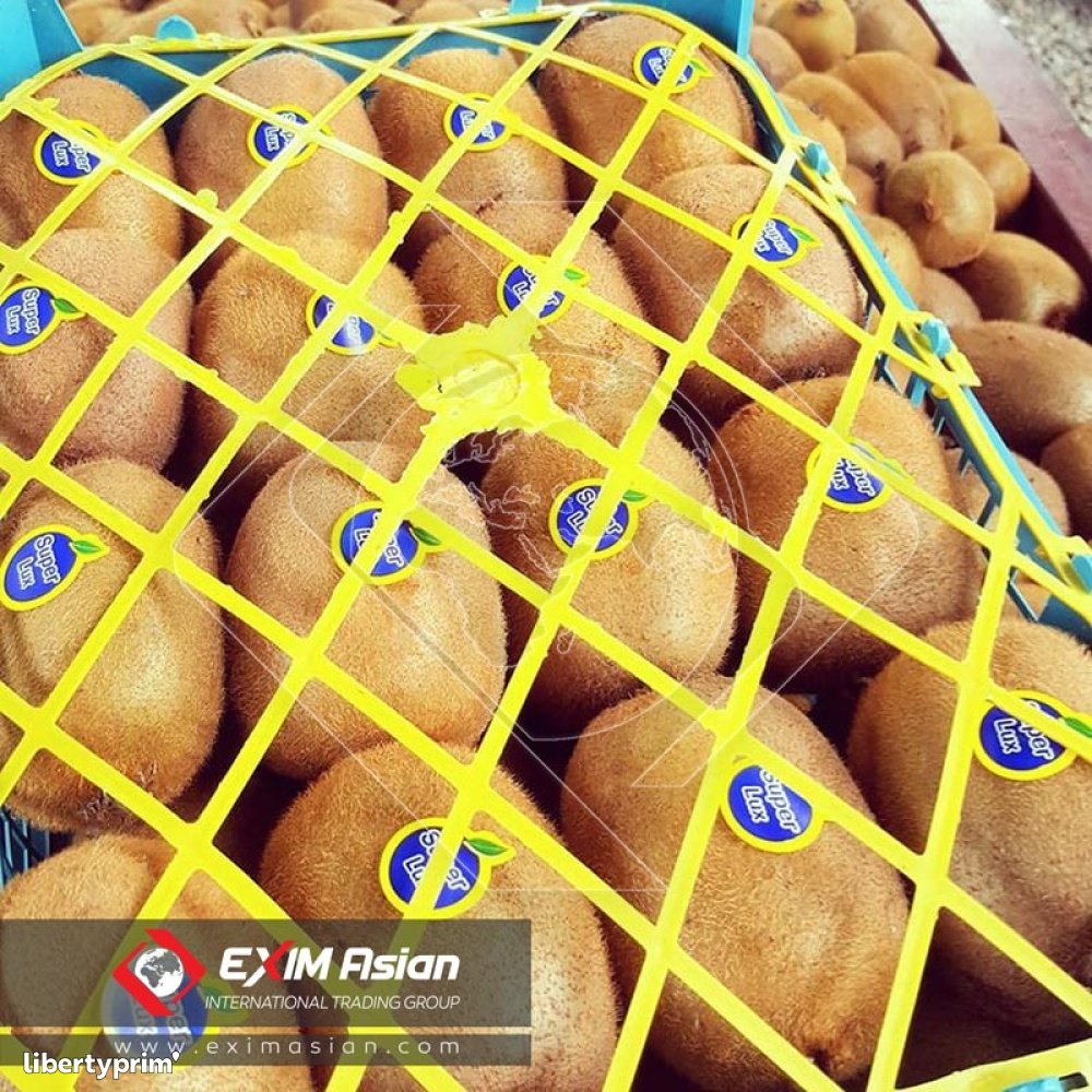 Kiwi Hayward Class 1 Iran Import & Export - EXIM Asian International ...