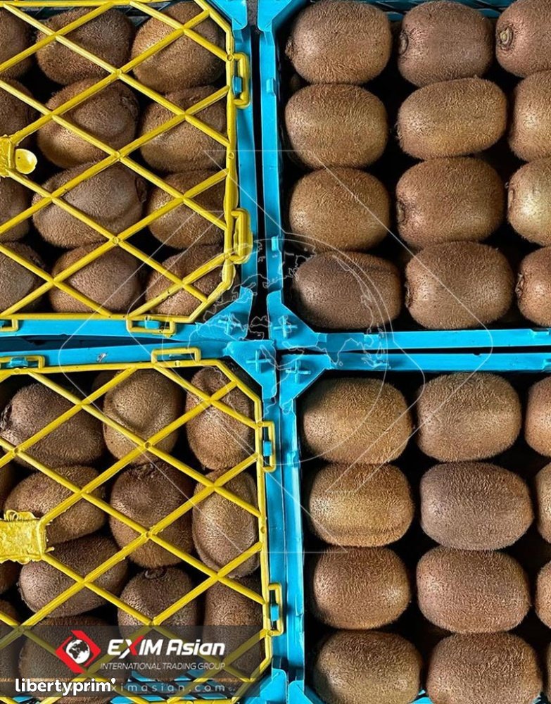 Kiwi Hayward Class 1 Iran Import & Export - EXIM Asian International ...