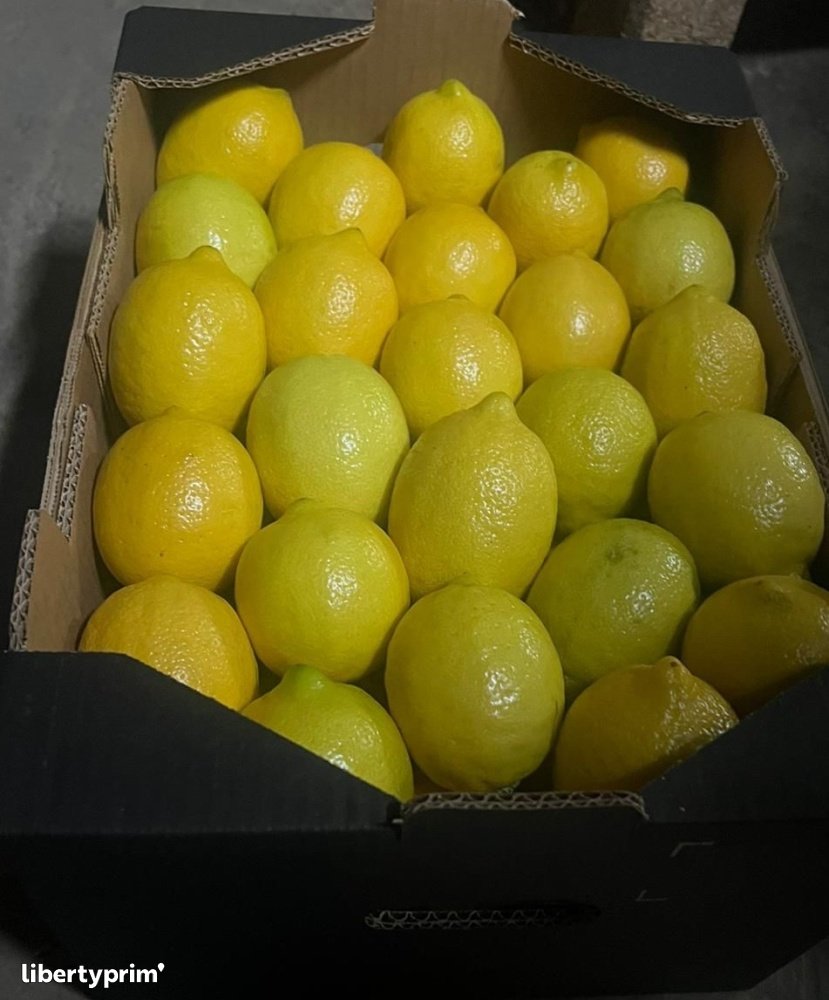 Lemon Class 1 Spain Shipper & Distributor - APAFRUIT | Libertyprim