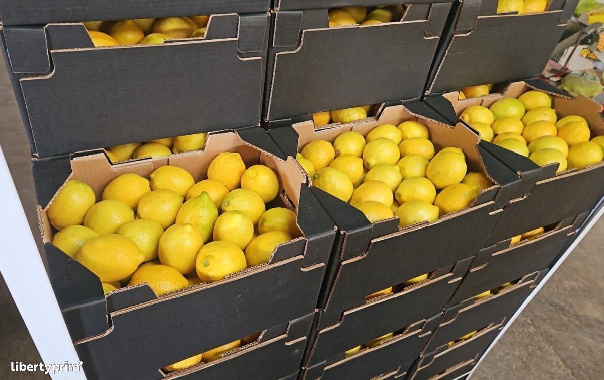 Lemon Class 1 Spain Shipper & Distributor - APAFRUIT | Libertyprim
