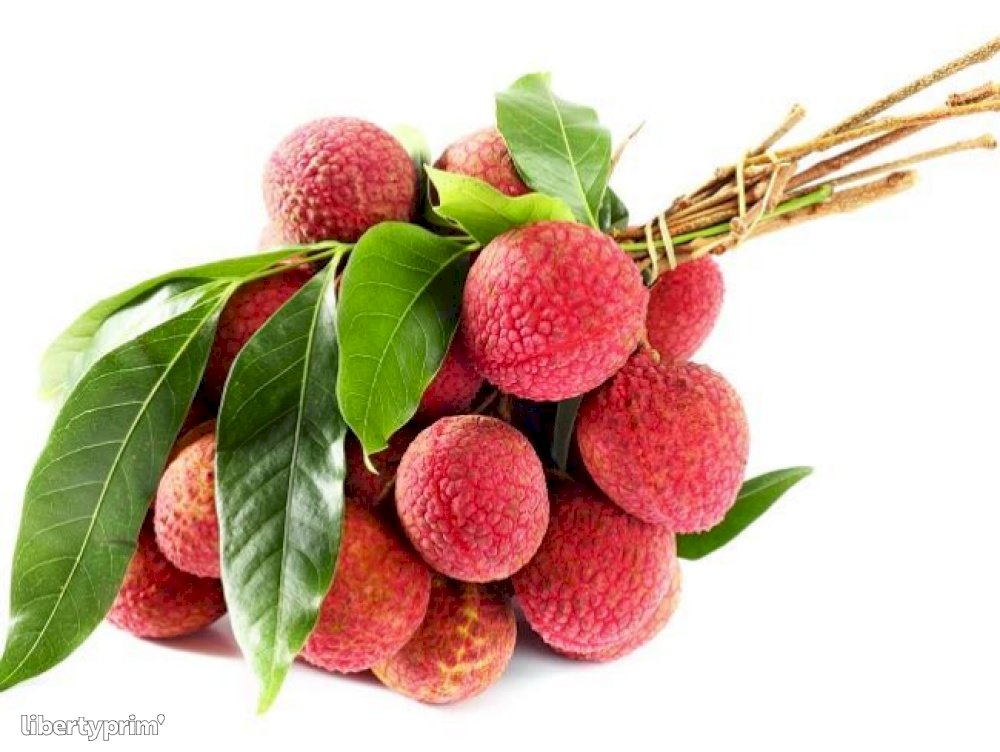 Litchi Import & Export - AMS EUROPEAN | Libertyprim