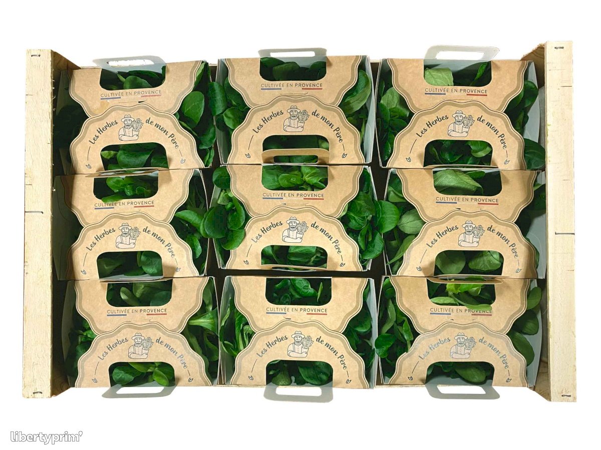 Mâche Catégorie 1 France Producteur - LAMPRIEN PROVENCE | Libertyprim