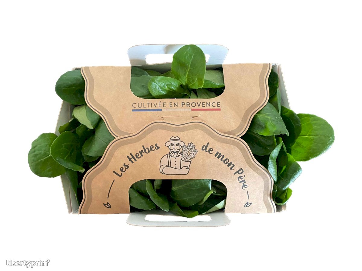 Mâche Catégorie 1 France Producteur - LAMPRIEN PROVENCE | Libertyprim